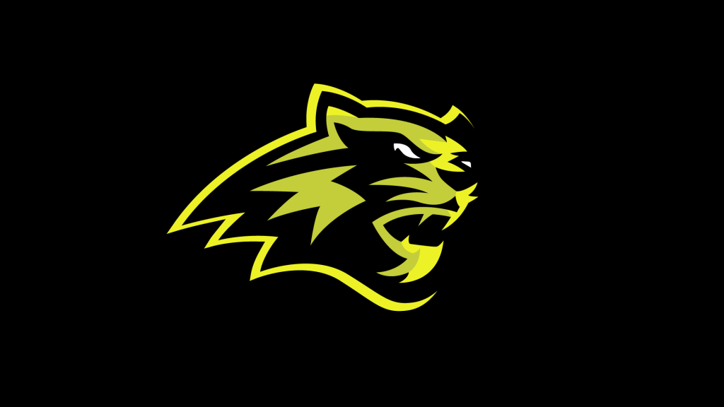 Dragon Mascot Logo - Streamer Overlays